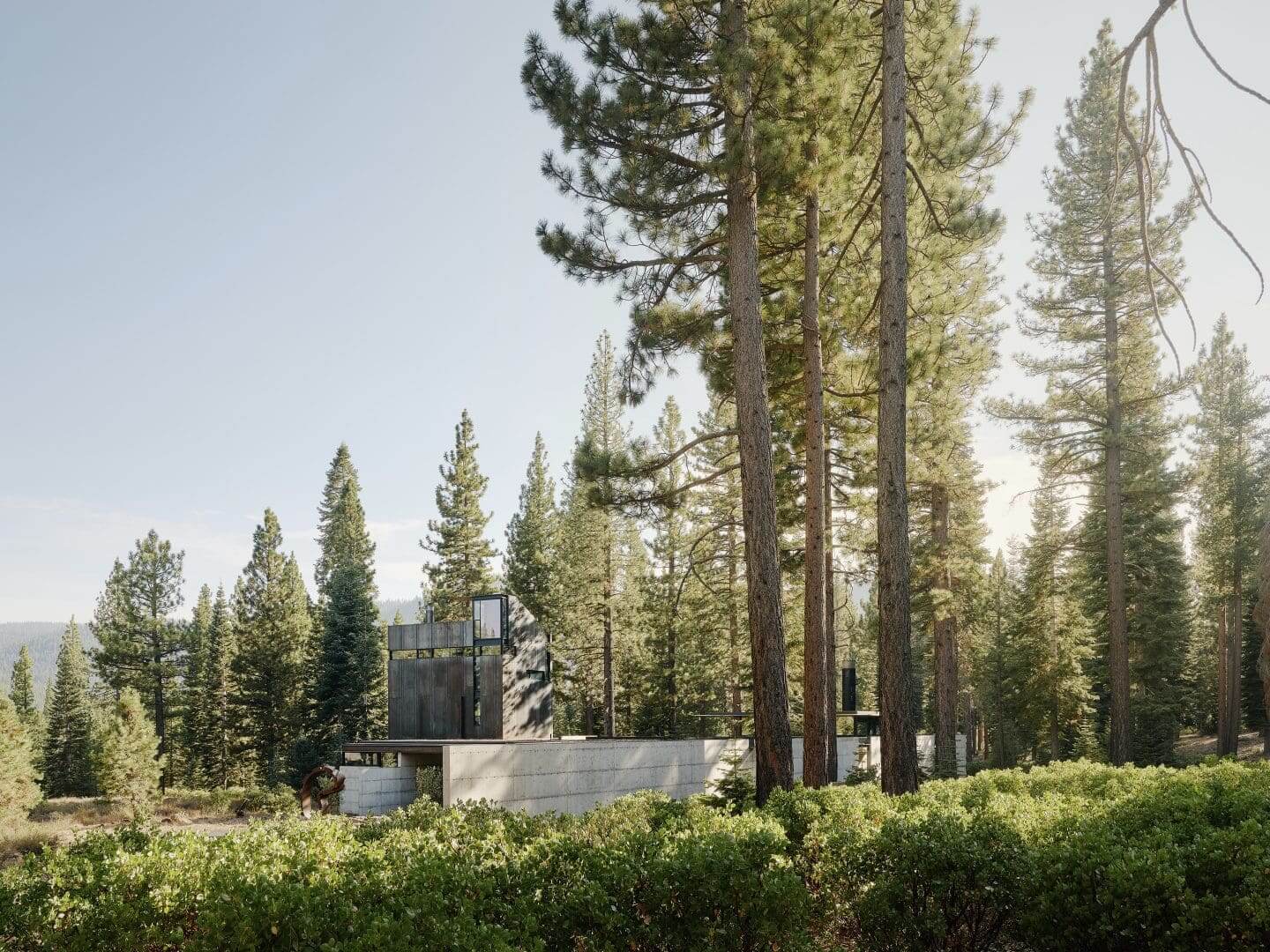 Home - Analog Forestry Network
